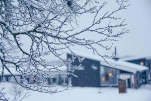 Camp Ripan aka Winter Wonderland: Visual Hotel Review - Photo Tips ...
