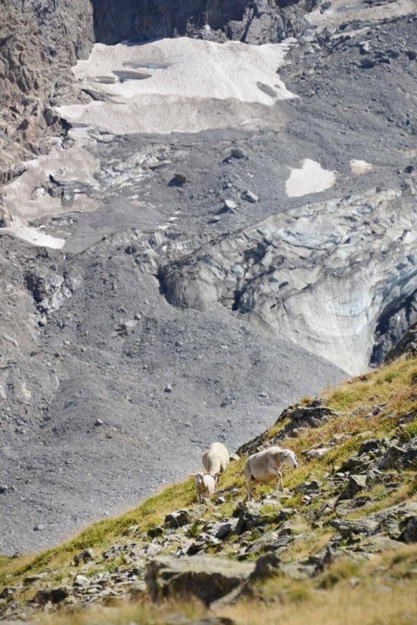 Briancon Photography Locations - French Alps in Summer