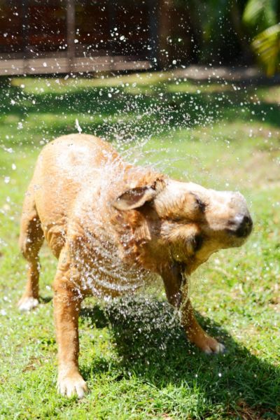 Photography Tips: Getting Creative with Shutter Speed