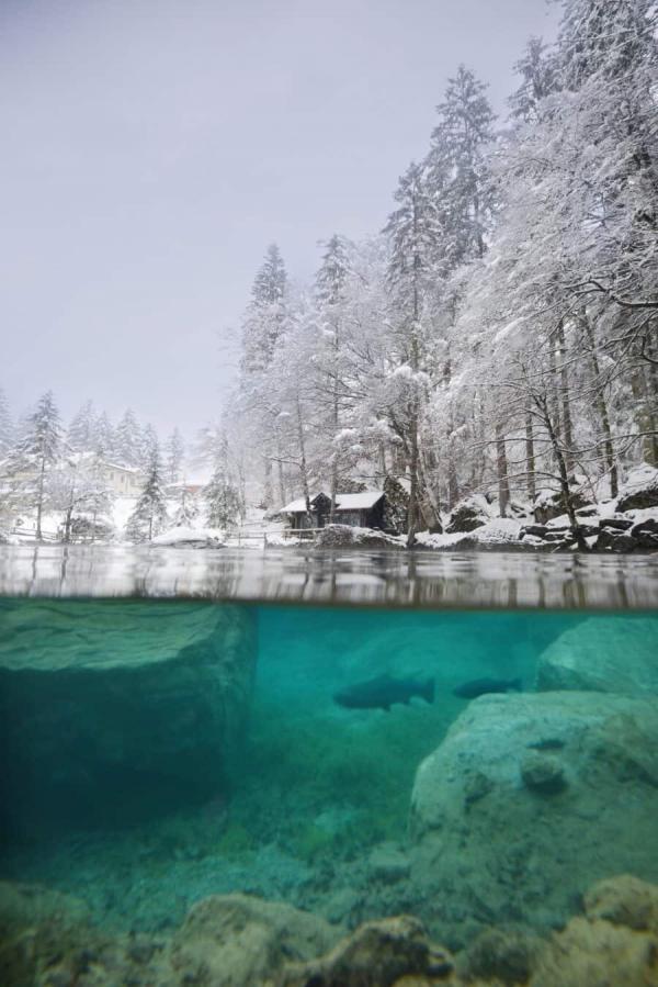 Behind the Lens: Lake Blausee, Switzerland - Photo Tips, Creative ...