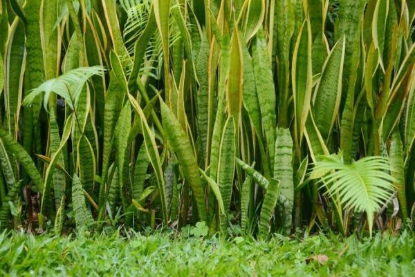 Lagoon Life in Rarotonga, Cook Islands - Photo Tips, Creative ...