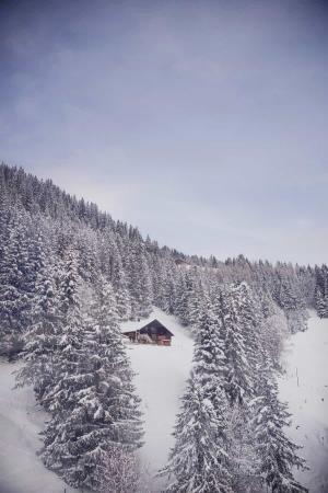 Snow Photography - A Quick Guide How to Take Photos in Snow