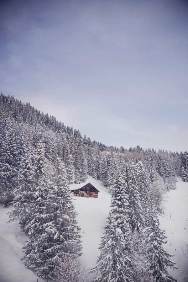 Snow Photography - A Quick Guide How to Take Photos in Snow