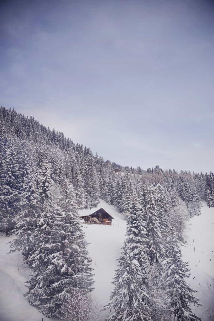 Snow Photography - A Quick Guide How to Take Photos in Snow