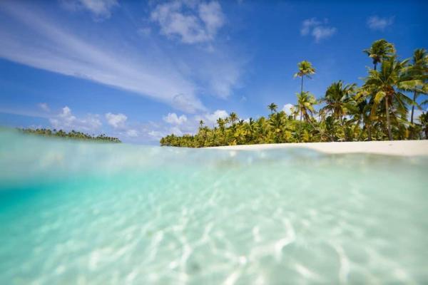 Cook Islands Underwater Photography Workshop - Photo Tips, Creative ...