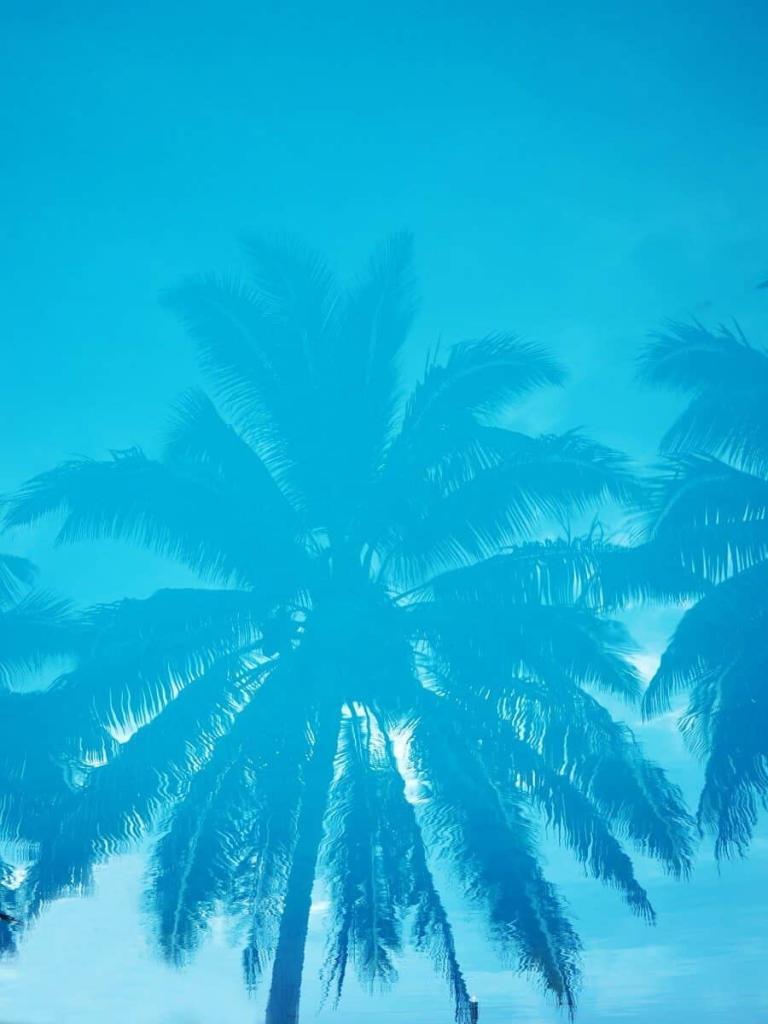 Photographing the Colours of the Cook Islands - Photo Tips, Creative ...