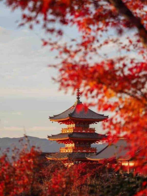 Autumn in Japan - Travel and Photography Tips for Kyoto + Tokyo