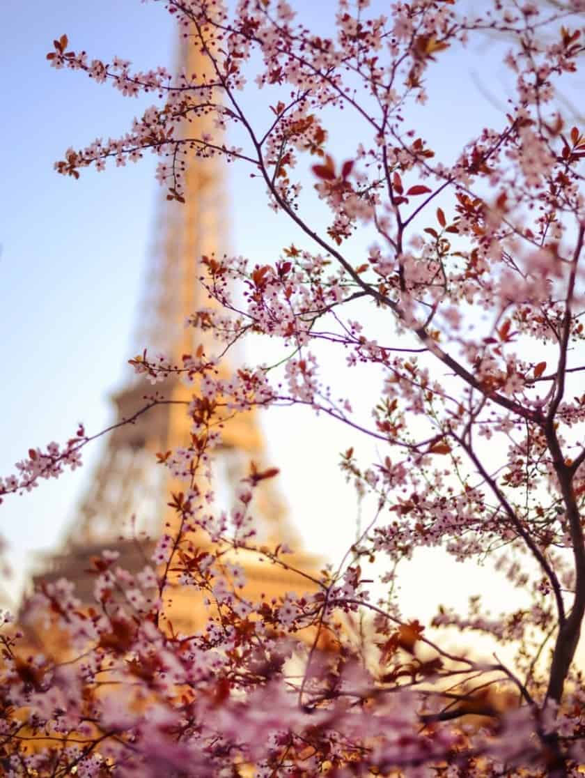 Eiffel Tower, Paris: 14 Places to Take Pictures of the Eiffel Tower