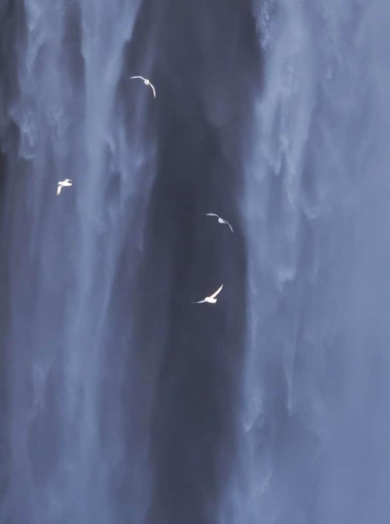 How a Zoom Lens can boost your travel photos - Tips + Example Photos