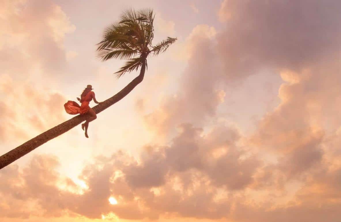 Cairns - A Guide to Tropical North Queensland Photography Experiences