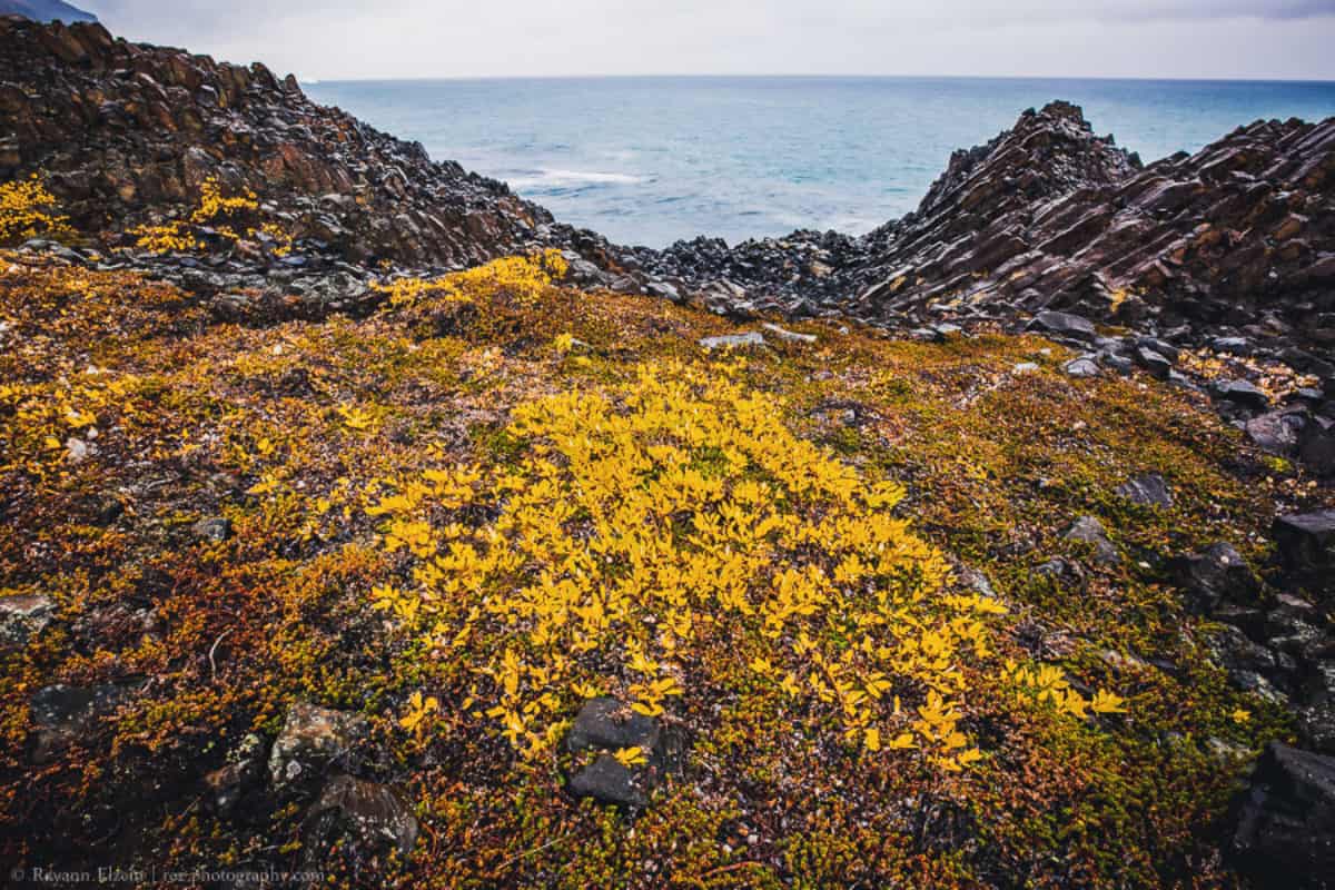 Greenland Photography Locations - A Guide to 3 Scenic Locations in ...