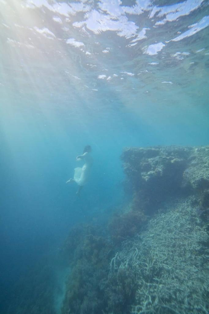 Underwater Photography - Great Barrier Reef, Australia