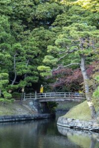 A Photographer's Guide to Tokyo, Japan - The Best Tokyo Photo Spots