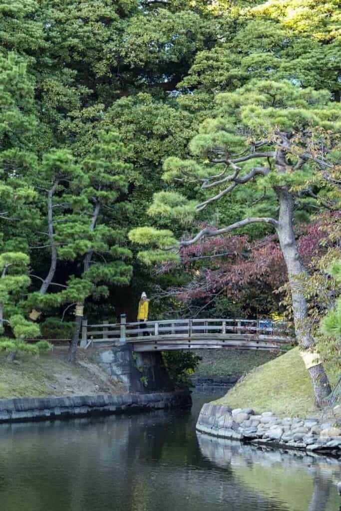 A Photographer's Guide to Tokyo, Japan - The Best Tokyo Photo Spots