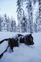 Snow Photography - A Quick Guide How to Take Photos in Snow
