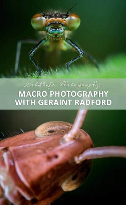 Macro Photography - Buggy Beautiful with photographer Geraint Radford