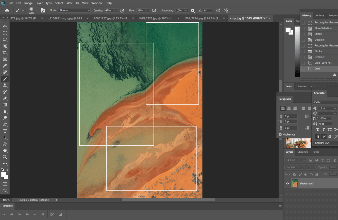 Get Creative in Isolation - Improve Your Photography at Home