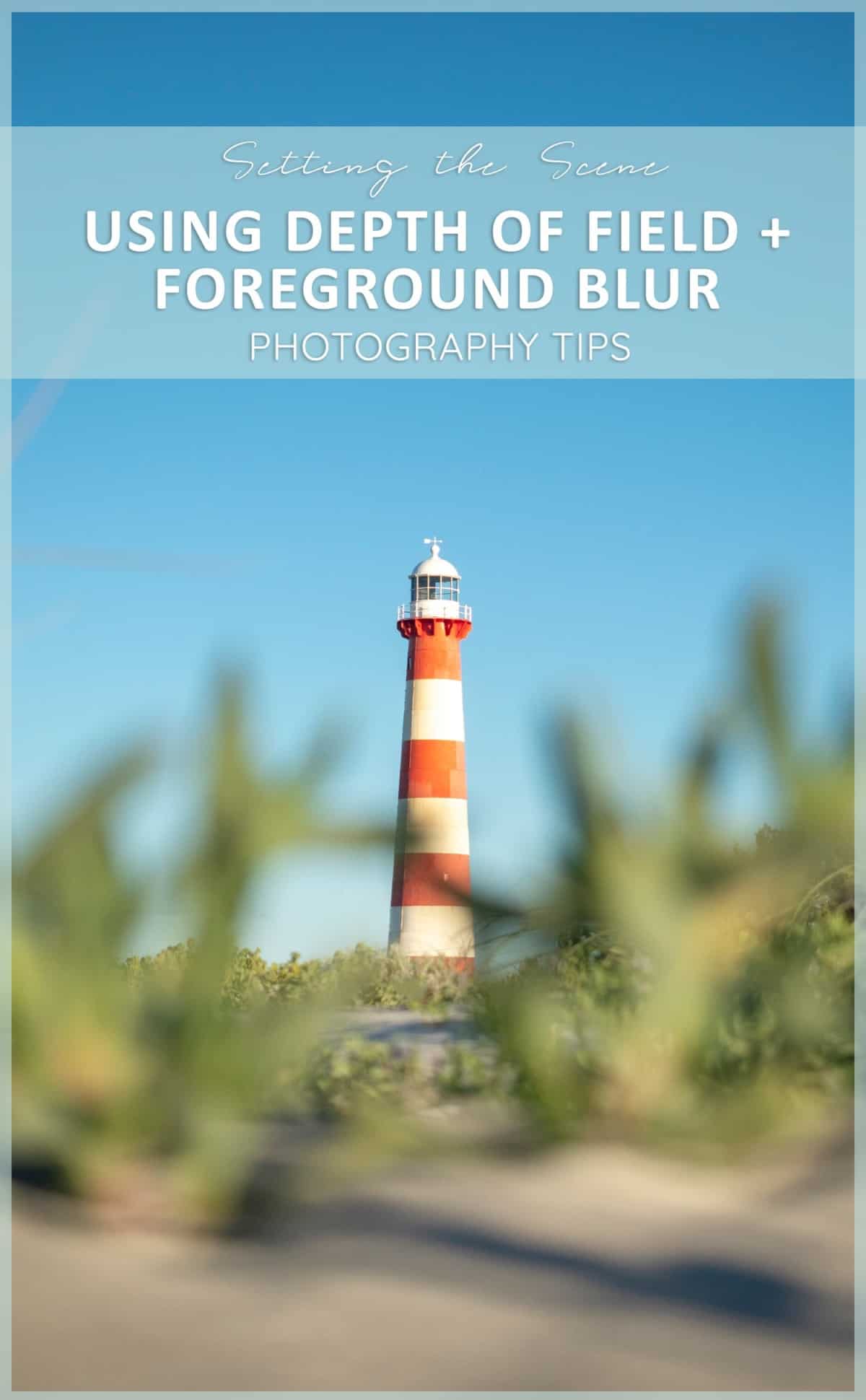 Depth of Field + Foreground Focus - Photography Tips