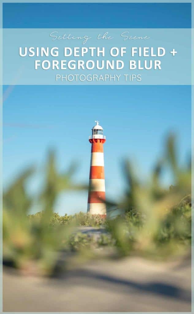 Depth of Field + Foreground Focus - Photography Tips