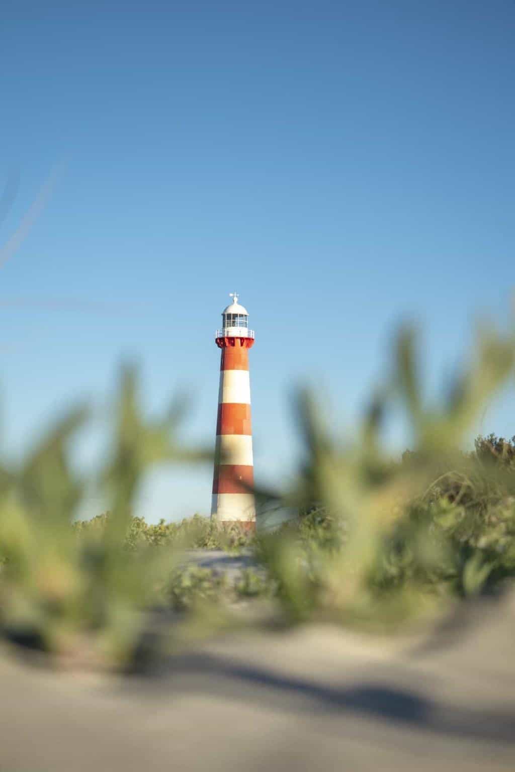 Depth of Field + Foreground Focus - Photography Tips