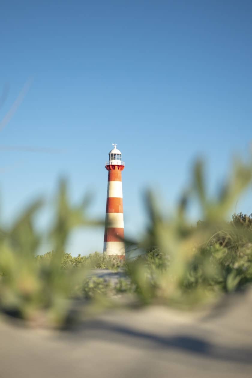 Depth of Field + Foreground Focus - Photography Tips