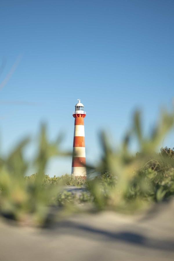 Depth of Field + Foreground Focus - Photography Tips