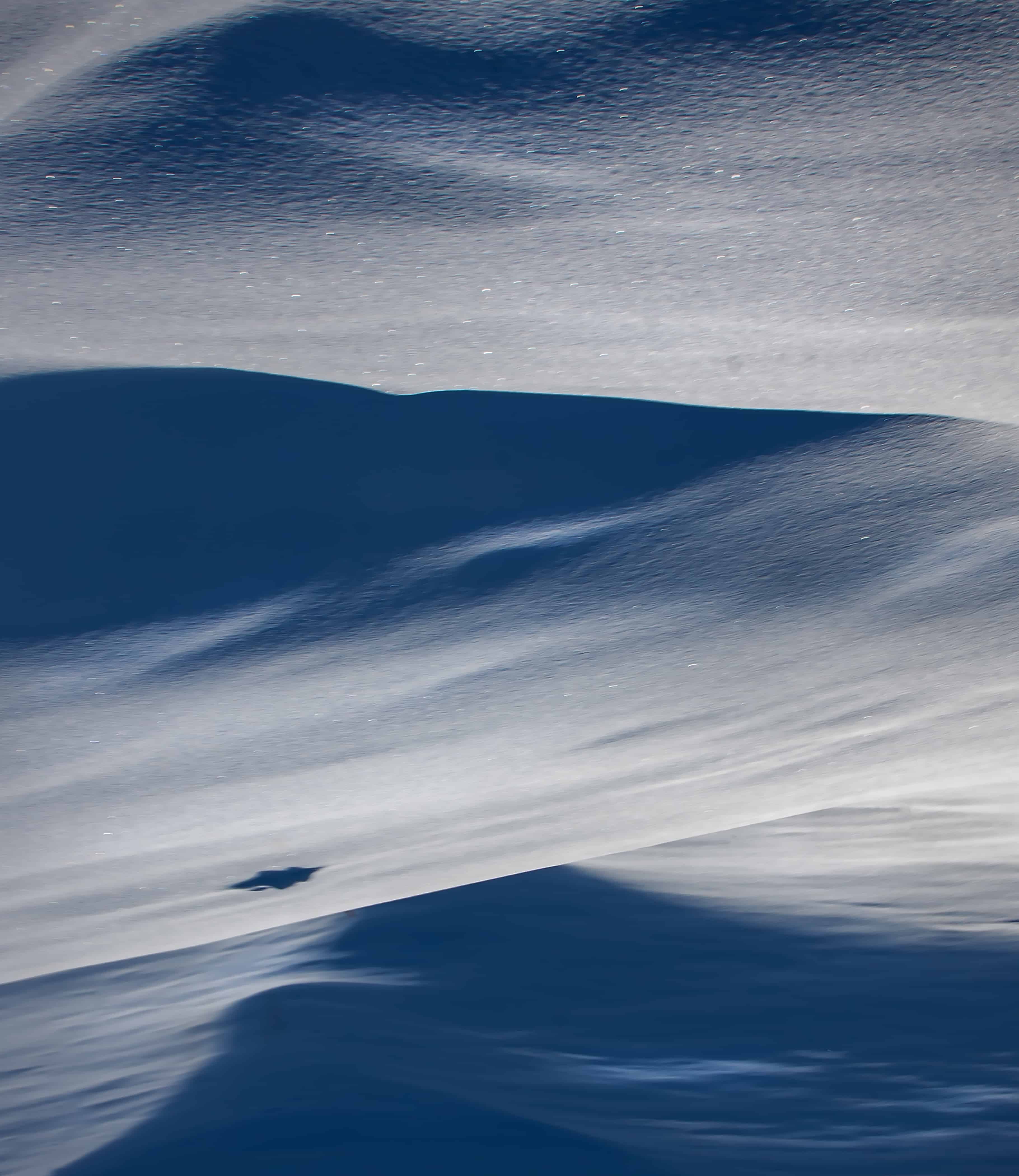 01 Snow - The Wandering Lens Community Collection - Photo Tips ...