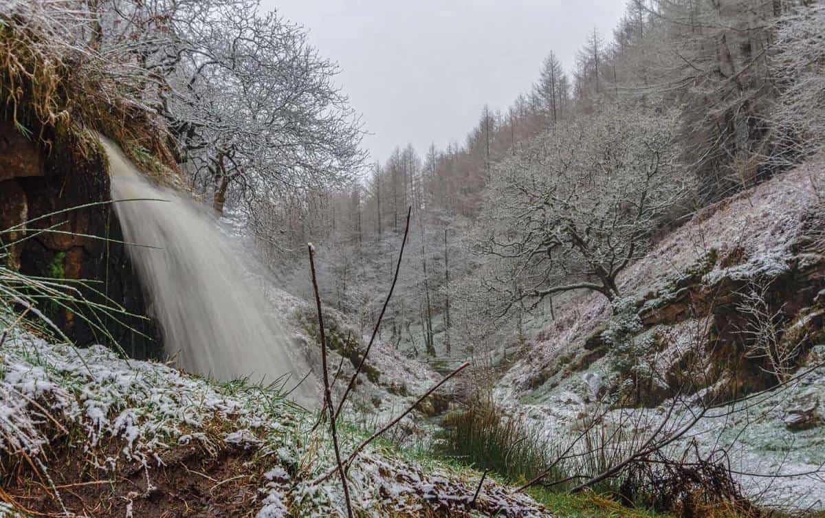 01 Snow - The Wandering Lens Community Collection - Photo Tips ...