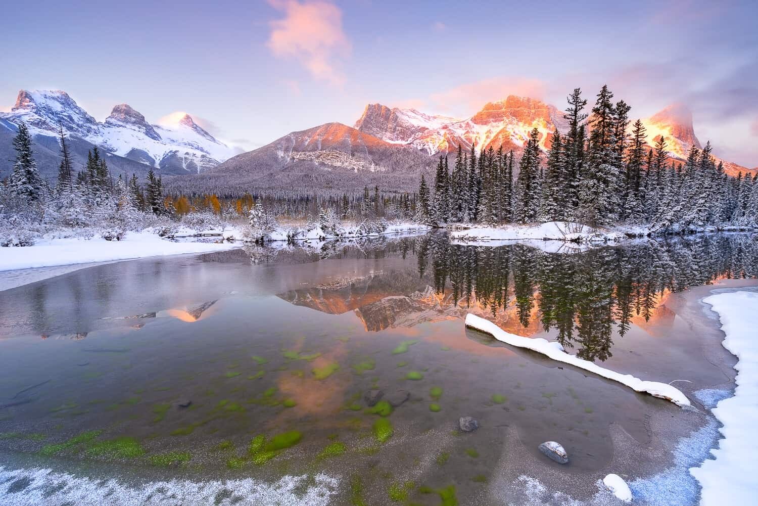 01 Snow - The Wandering Lens Community Collection - Photo Tips ...