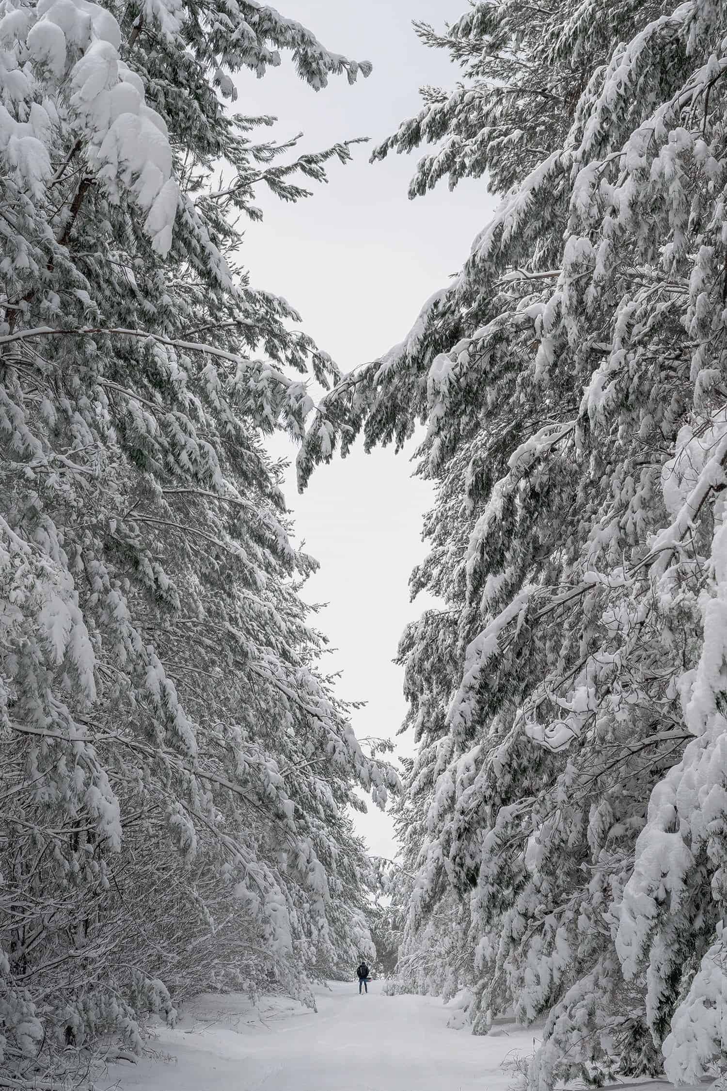 01 Snow - The Wandering Lens Community Collection - Photo Tips ...