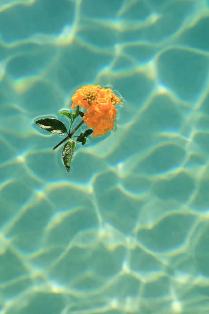 04 Water - The Wandering Lens Community Collection - Photo Tips ...