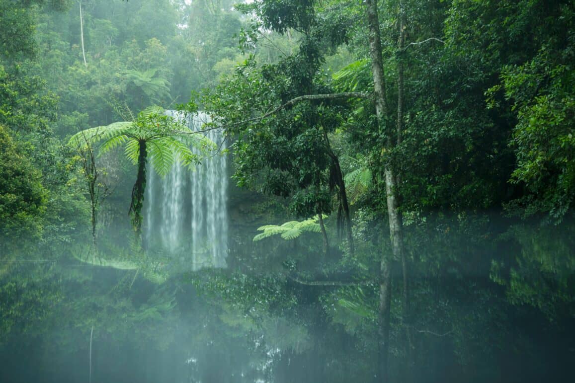 05 Green - The Wandering Lens Monthly Collection - Photo Tips, Creative ...