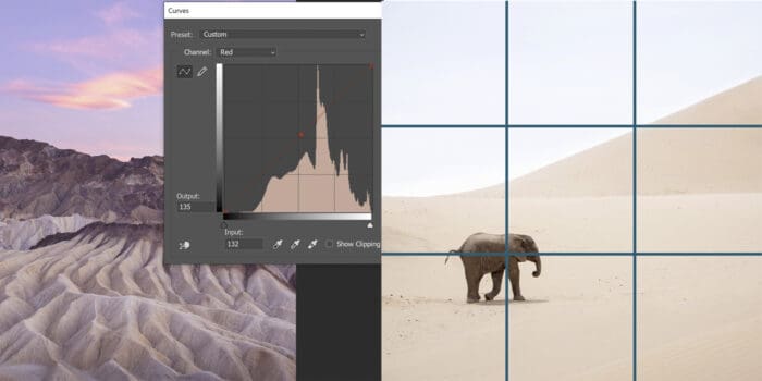 How to Learn Photography - 8 Learning Styles for Photographers