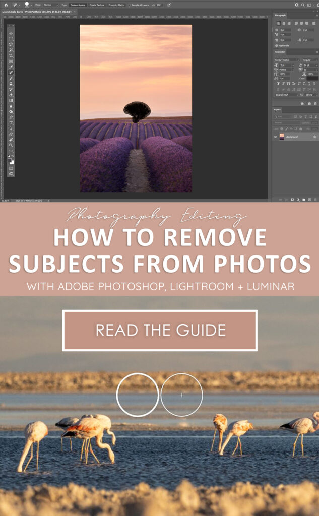 Photo Editing: How to Remove Subjects from Photos