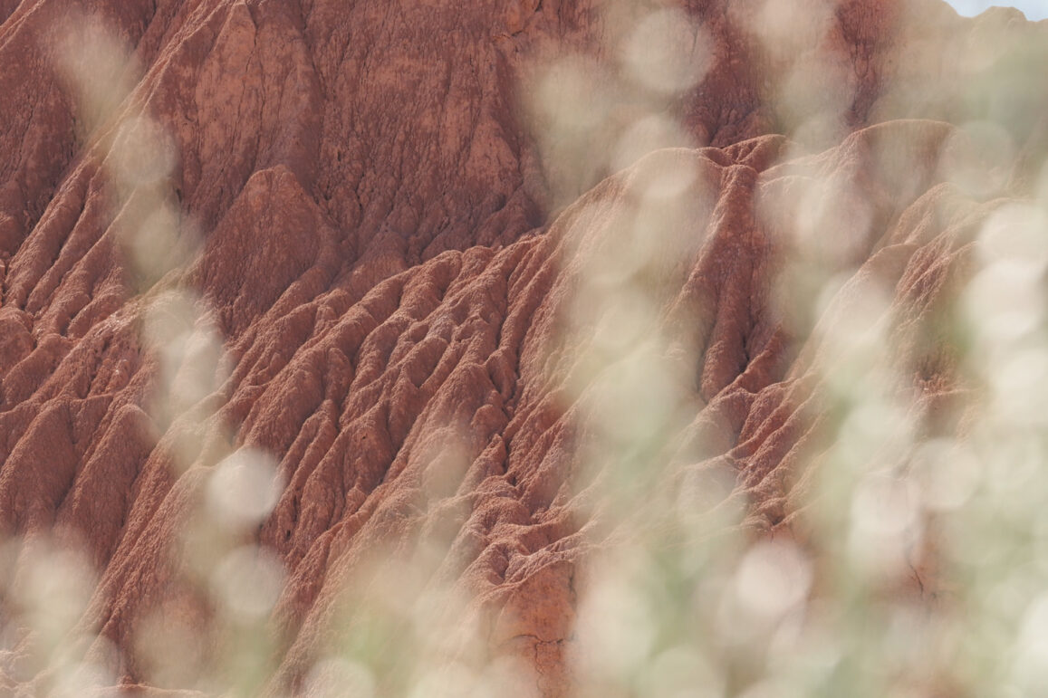 Landscape Photography - Capturing Details within a Scene - Photo Tips ...