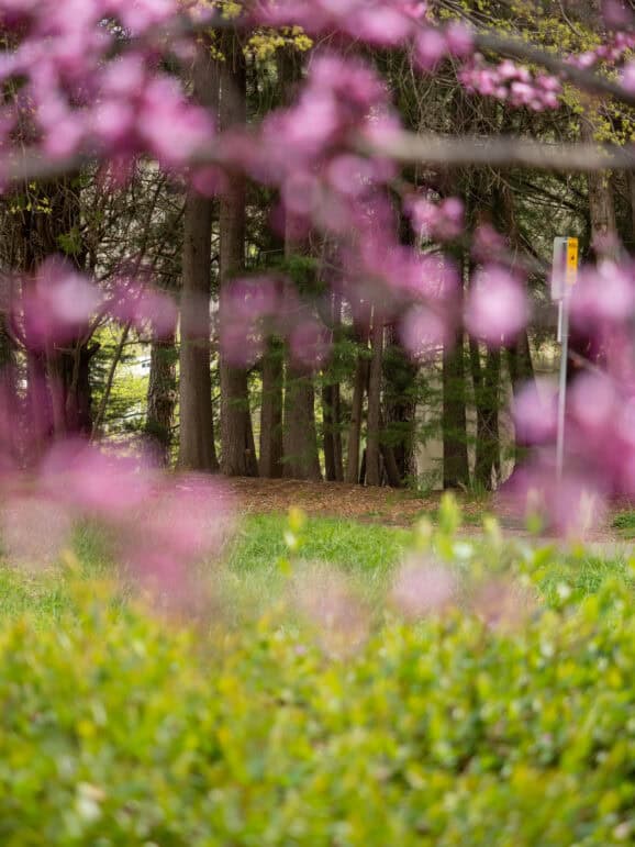 Photographing the Capital - A Creative's Guide to Canberra