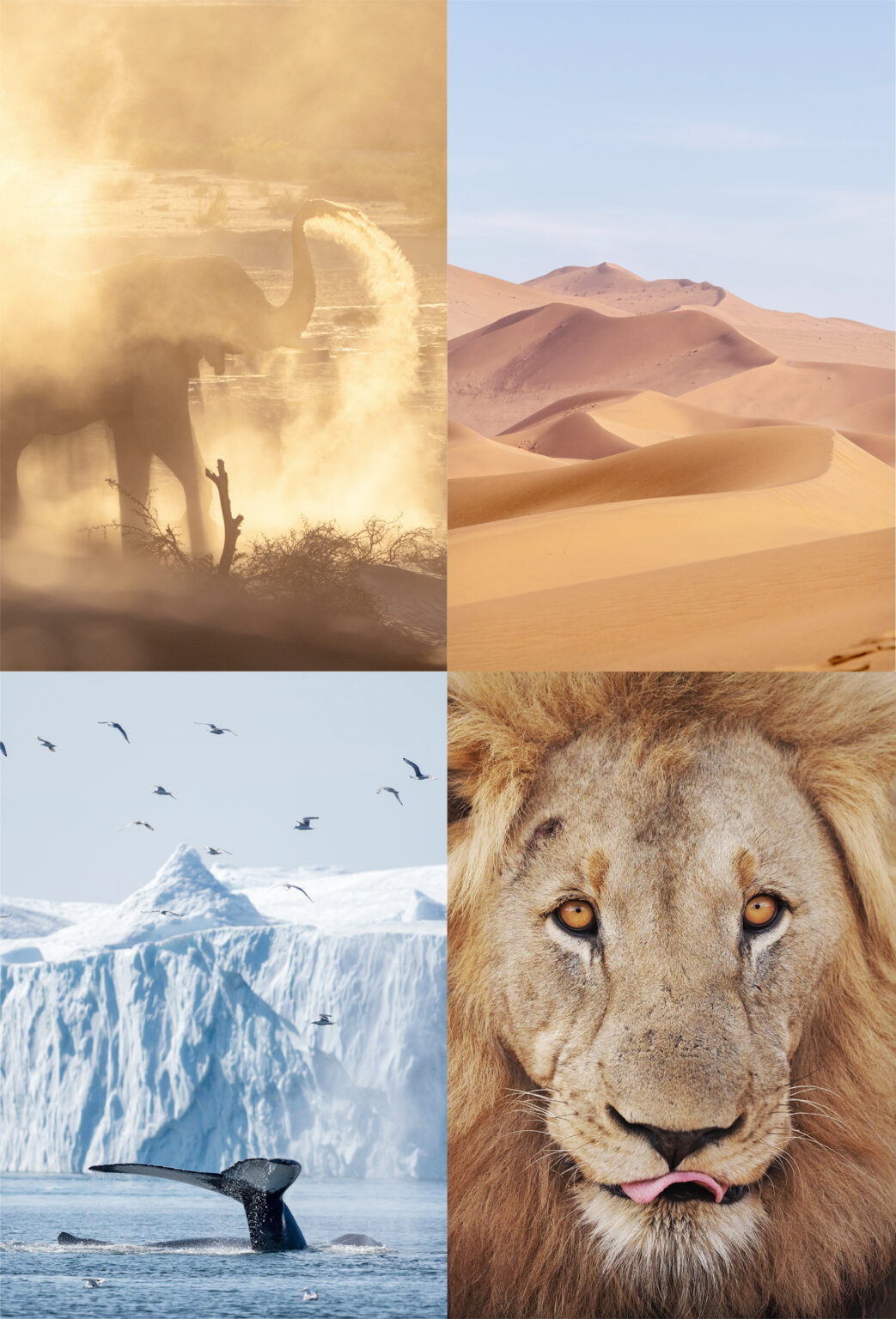 Travel Photography - The World of The Wandering Lens