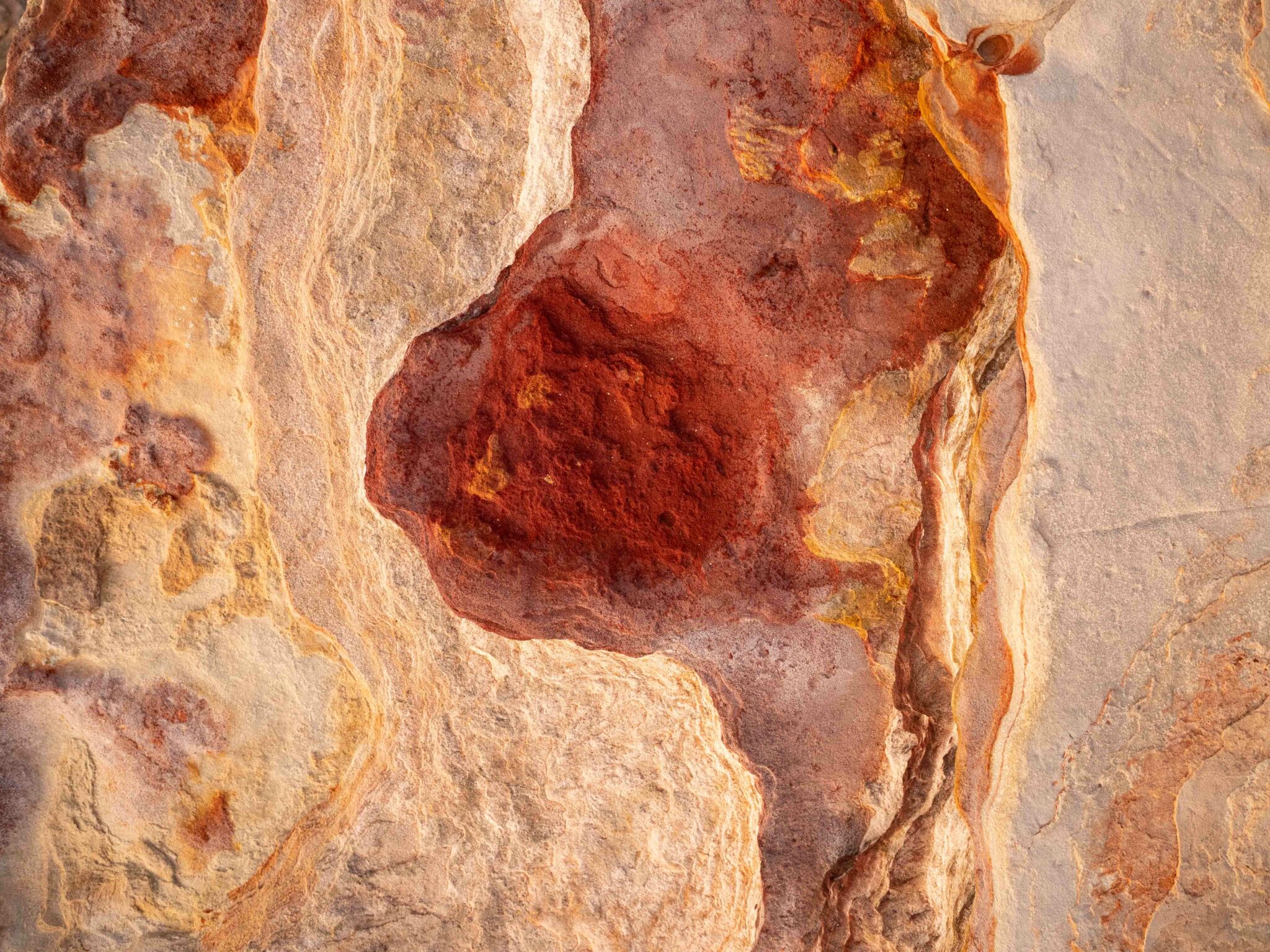 Photographing Australia’s Landscapes with the OM System OM-1 Mirrorless ...