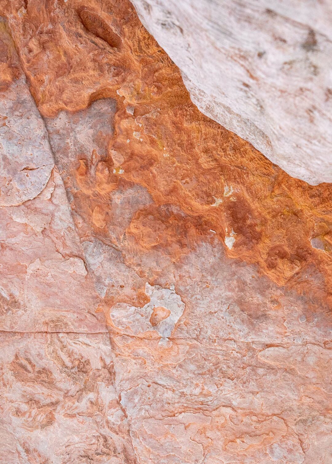 Photographing Australia’s Landscapes with the OM System OM-1 Mirrorless ...