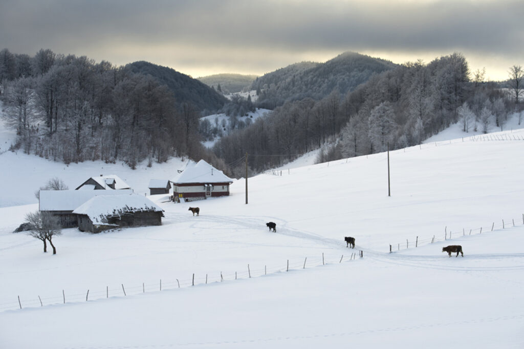 A Guide to Photographing in Romania - Bucharest + Landscapes