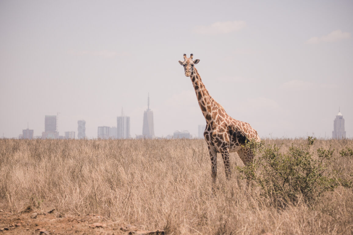 Kenya Photography Guide – Photogenic Experiences + Locations