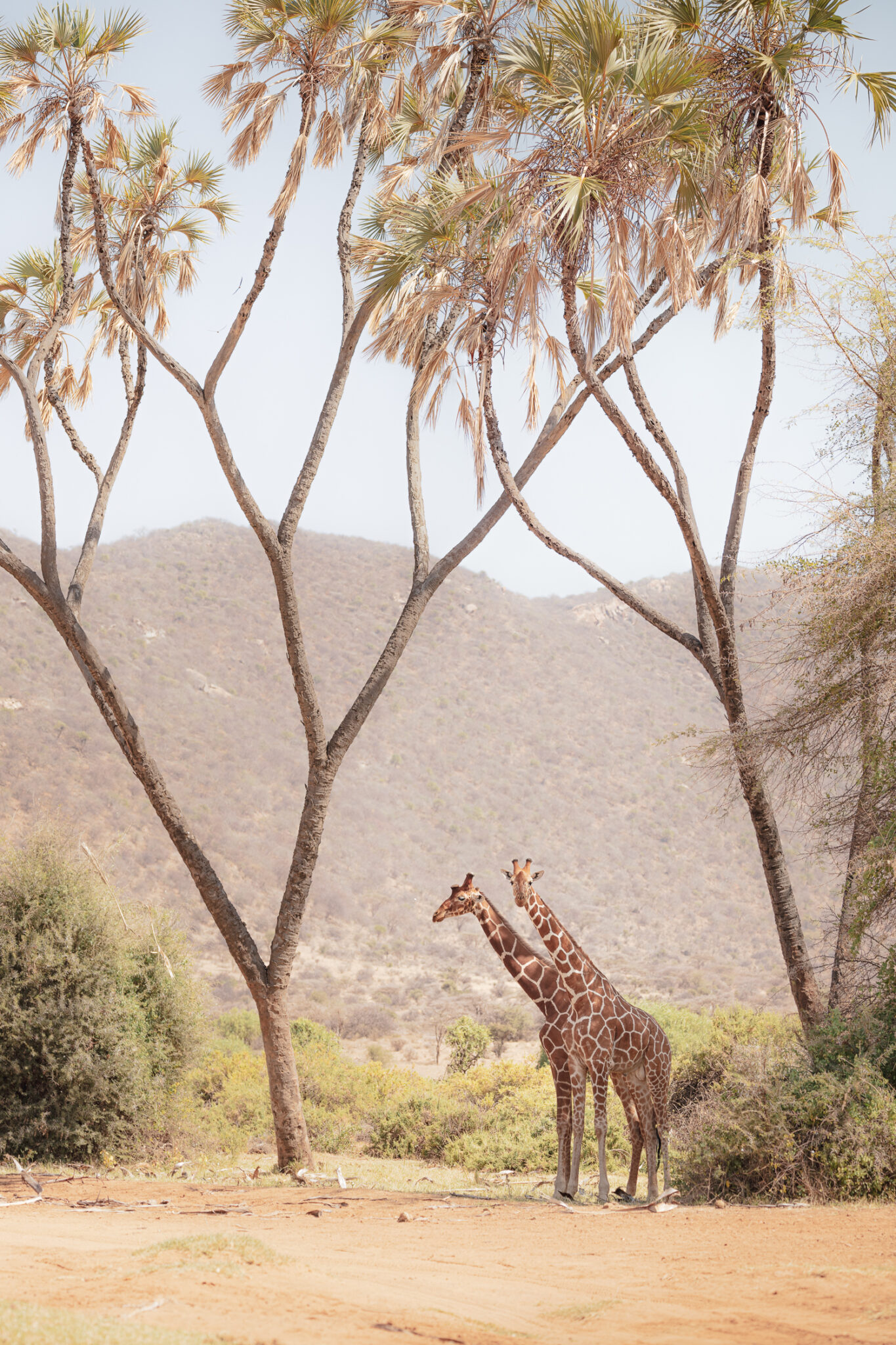 Kenya Photography Guide – Photogenic Experiences + Locations