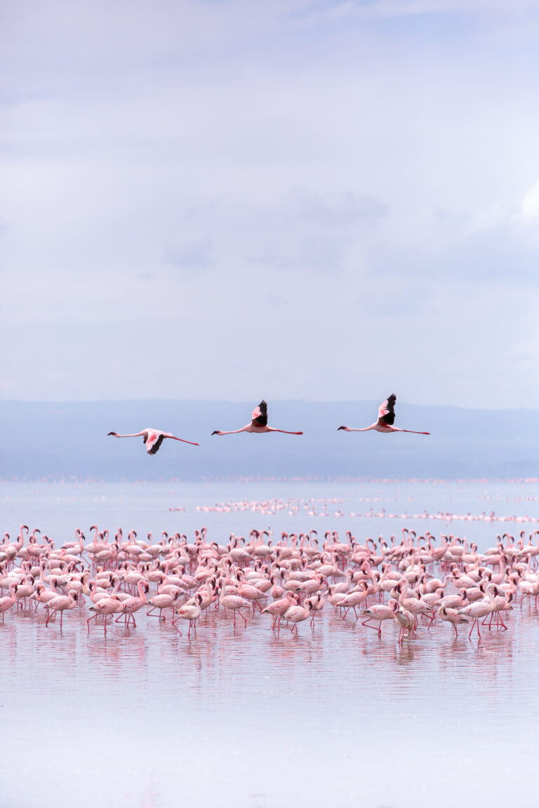 Kenya Photography Guide – Photogenic Experiences + Locations