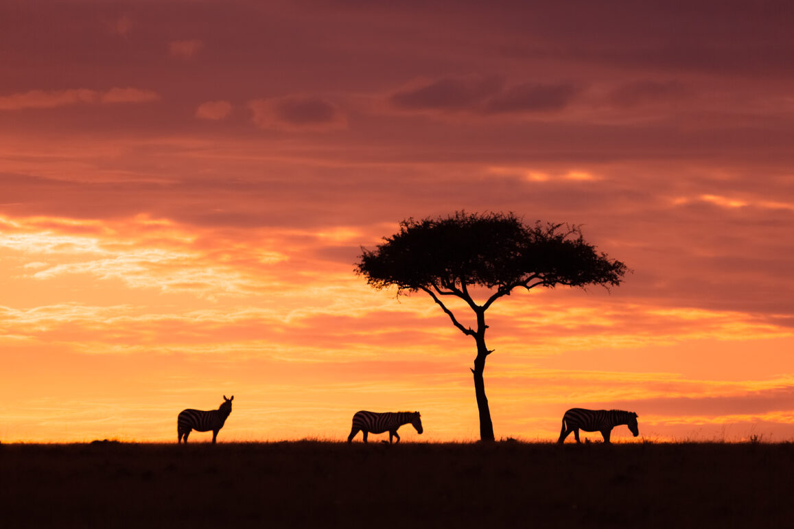 Kenya Photography Guide – Photogenic Experiences + Locations