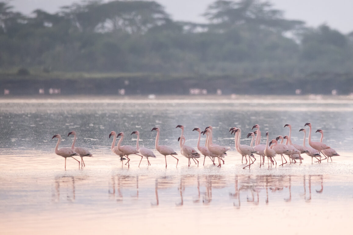 Kenya Photography Guide – Photogenic Experiences + Locations