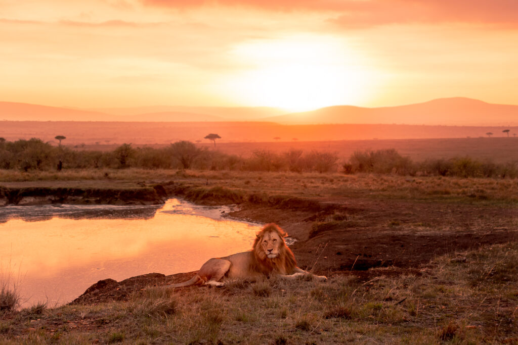 Kenya Photography Guide – Photogenic Experiences + Locations