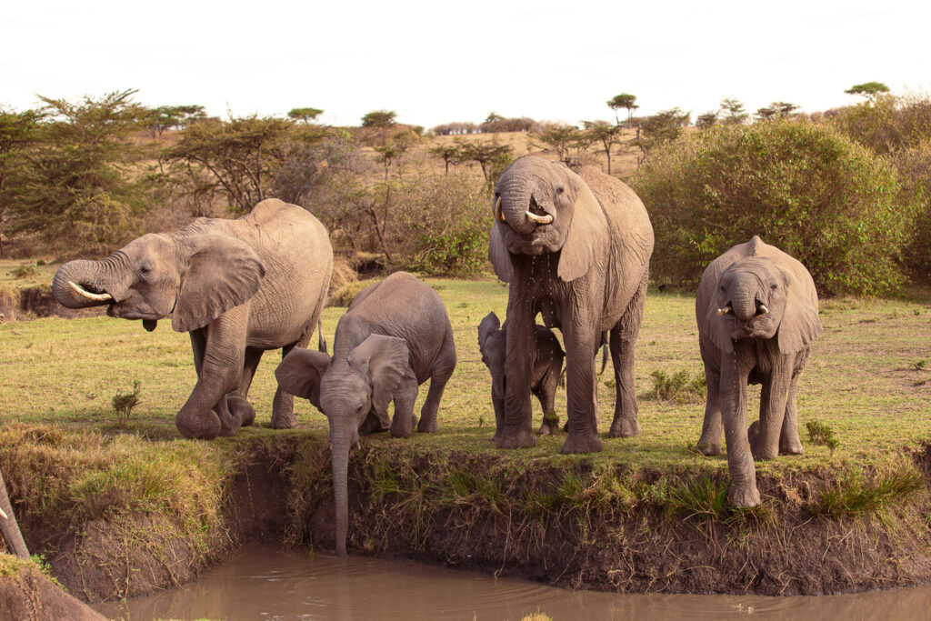 Kenya Photography Guide – Photogenic Experiences + Locations