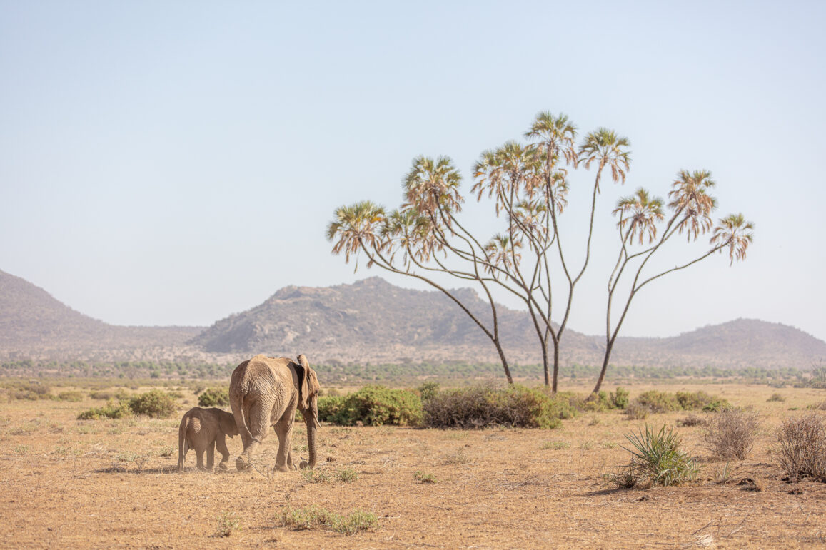 Kenya Photography Guide – Photogenic Experiences + Locations