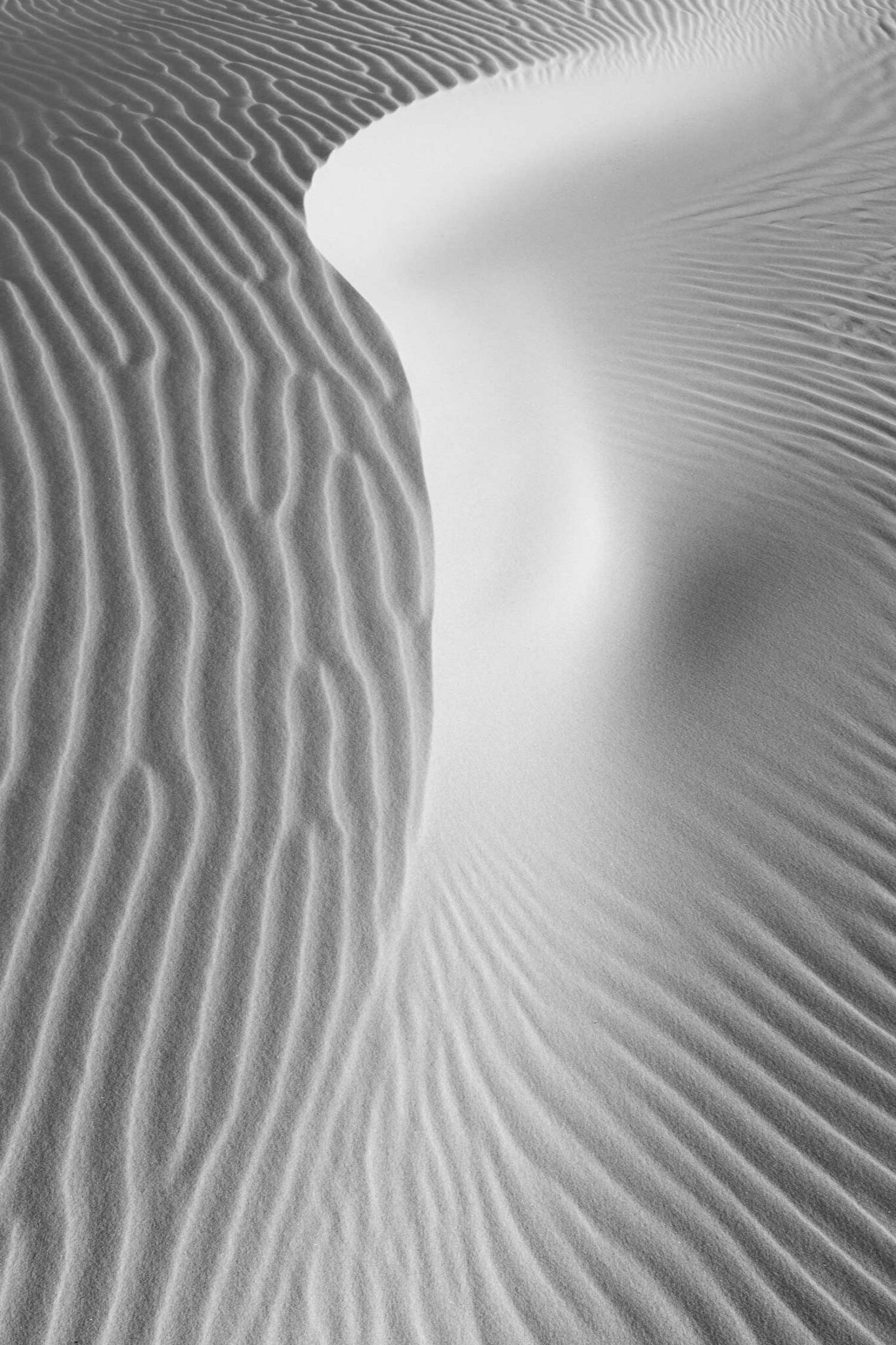 The Stockton Sand Dunes - Stories + Camera Settings - Australia
