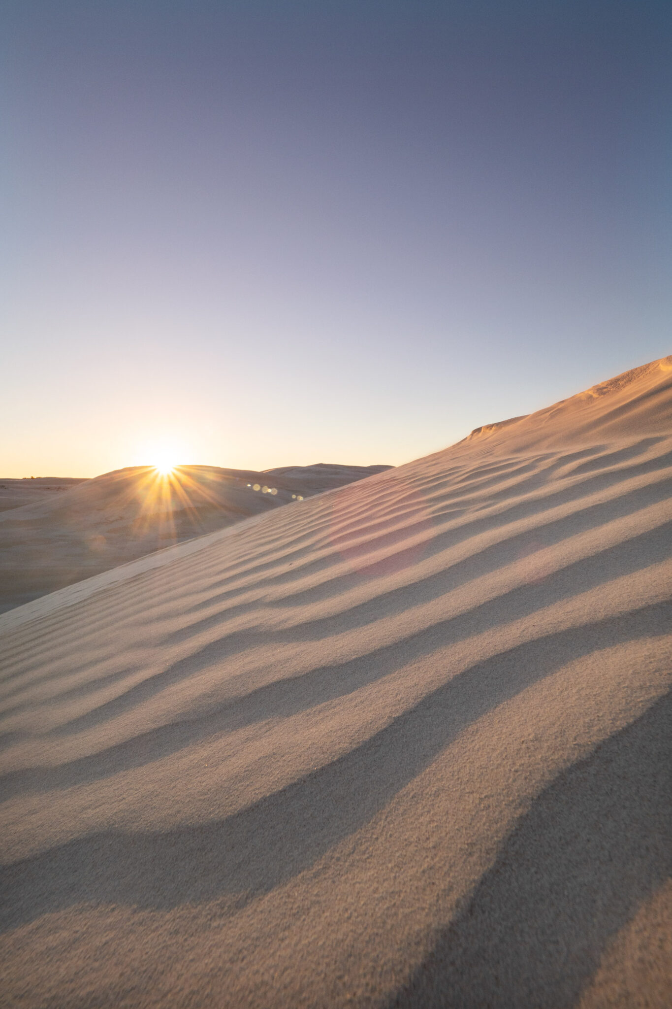 Mastering Light: A Quick Guide to Golden Hour Photography - Photo Tips ...